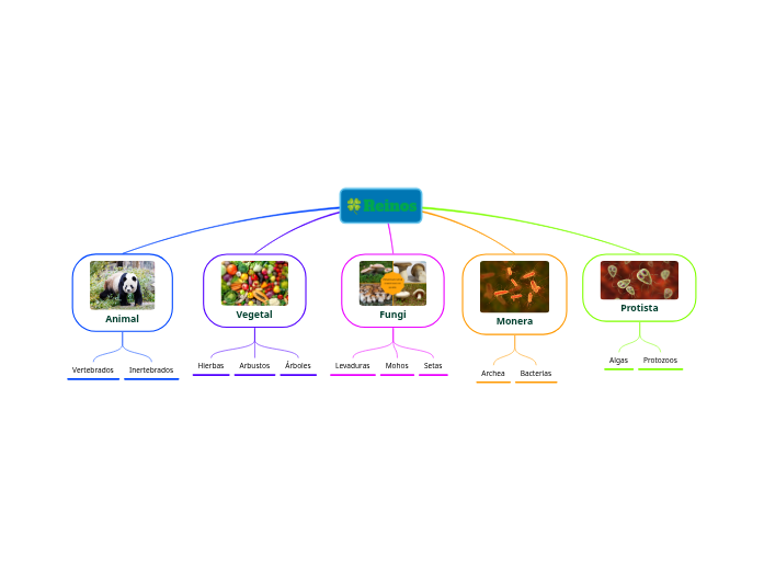 🍀Reinos - Mind Map